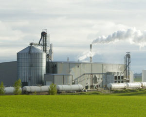 Hops for Global Bio-Ethanol Production | Biofuels | BetaTec Hop Products