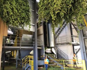 Hops Production | Harvesting | Processing | BetaTec Hop Products