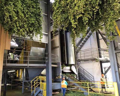 Hops Production | Harvesting | Processing | BetaTec Hop Products