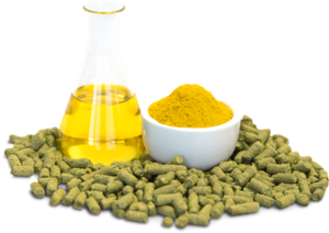 Xanothohumol Production | XanoHop Gold | BetaTec Hops